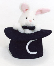 Magic C Bunny – Tools For Kids Inc.